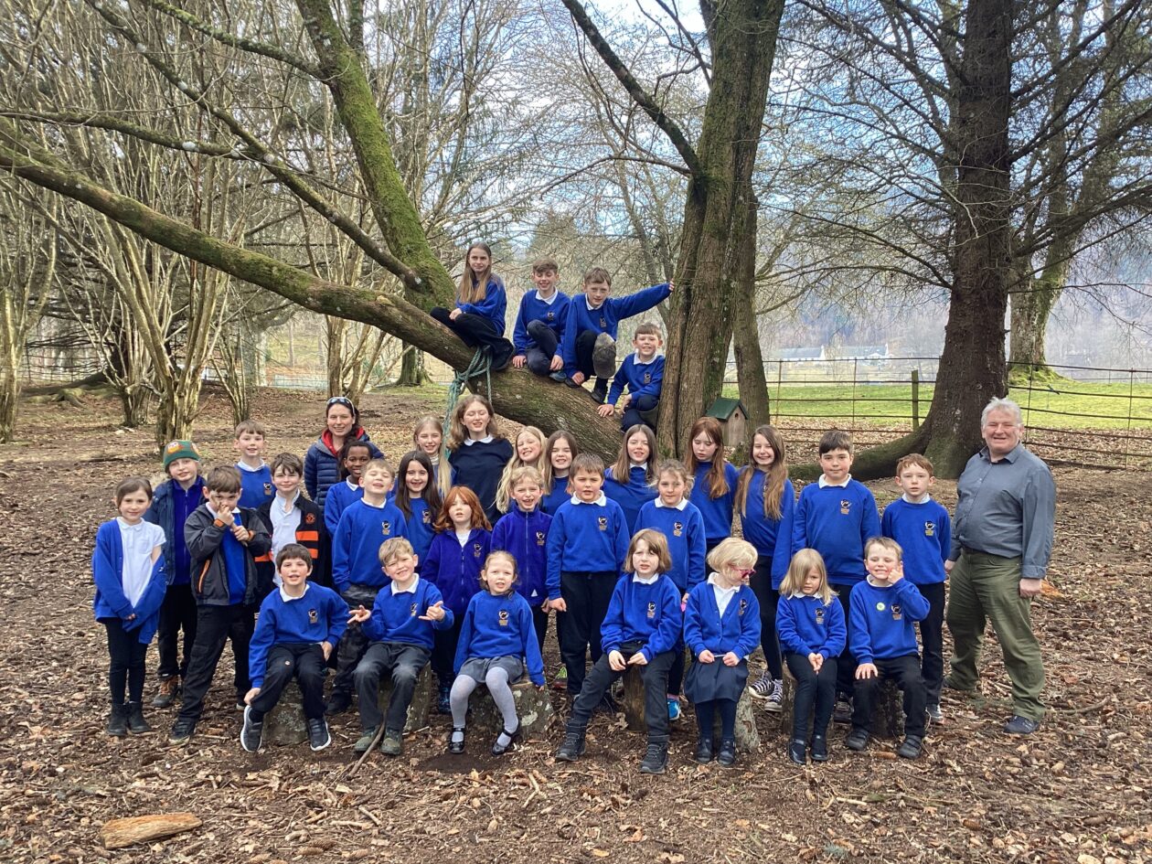 Kenmore Primary Website