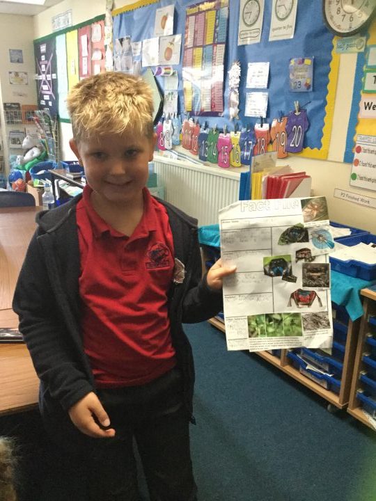 P3/2 factfile presentations | Bishopton Primary School