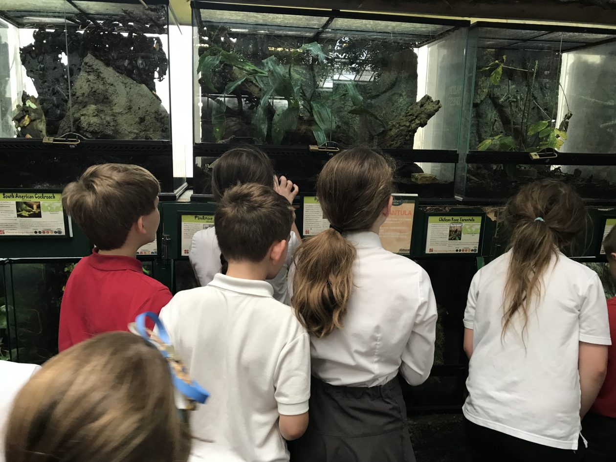 IMG_1665 | Langbank Primary School