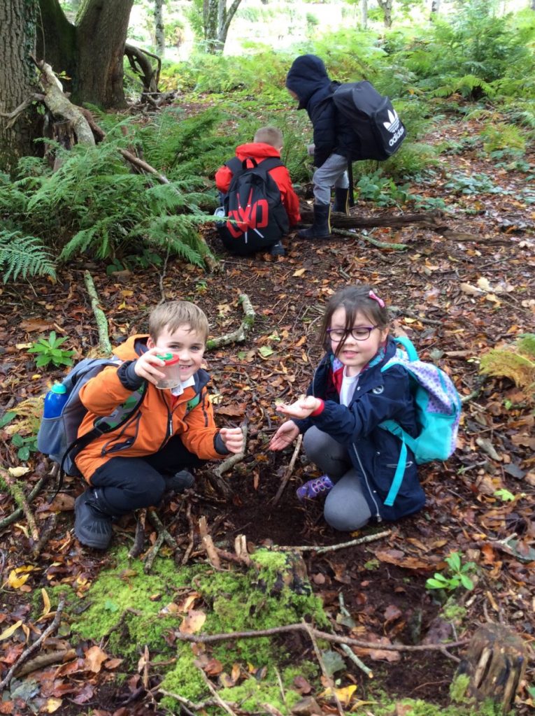 Primary 2/3 | Langbank Primary School