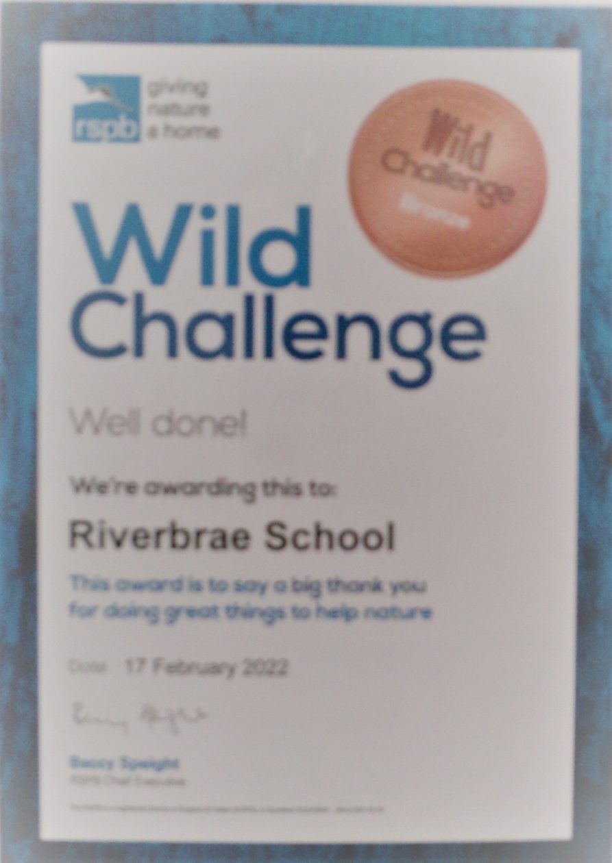 RSPB Wild Challenge Bronze Winners | Riverbrae School