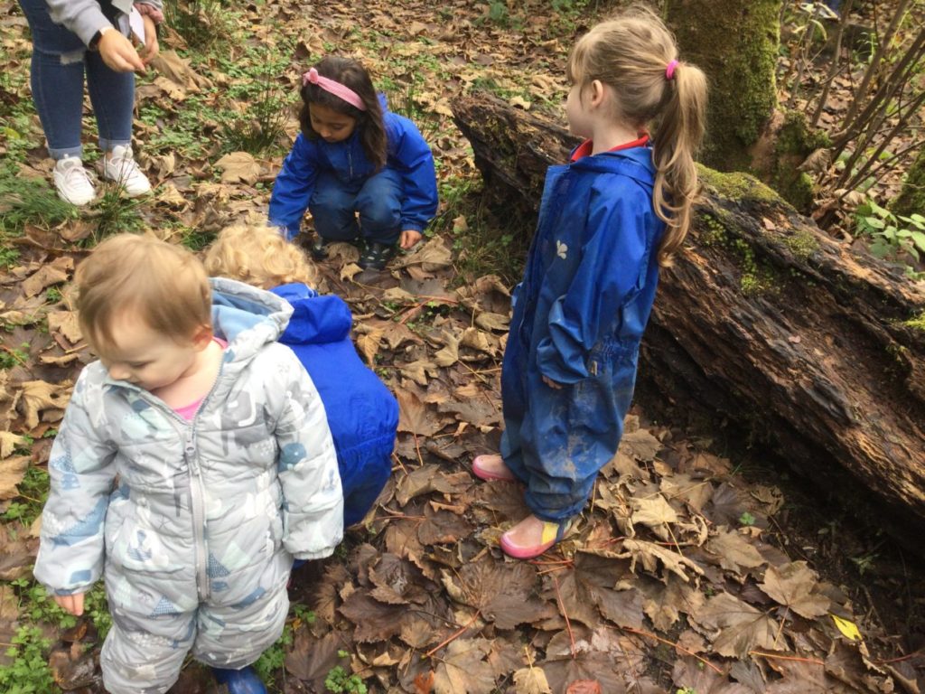 Outdoor Learning | West Johnstone Early Learning & Childcare