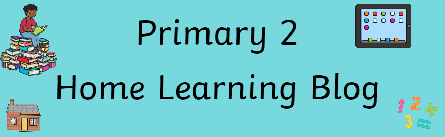 Primary 2 Information