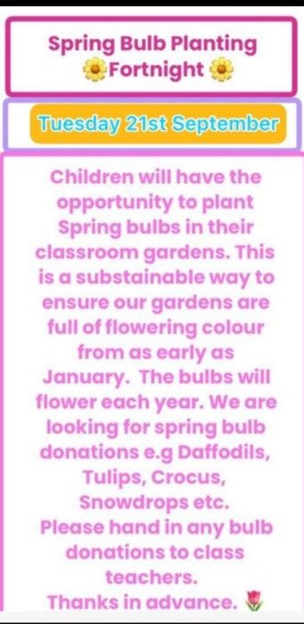 bulb | Alloway Primary School and Early Years Centre