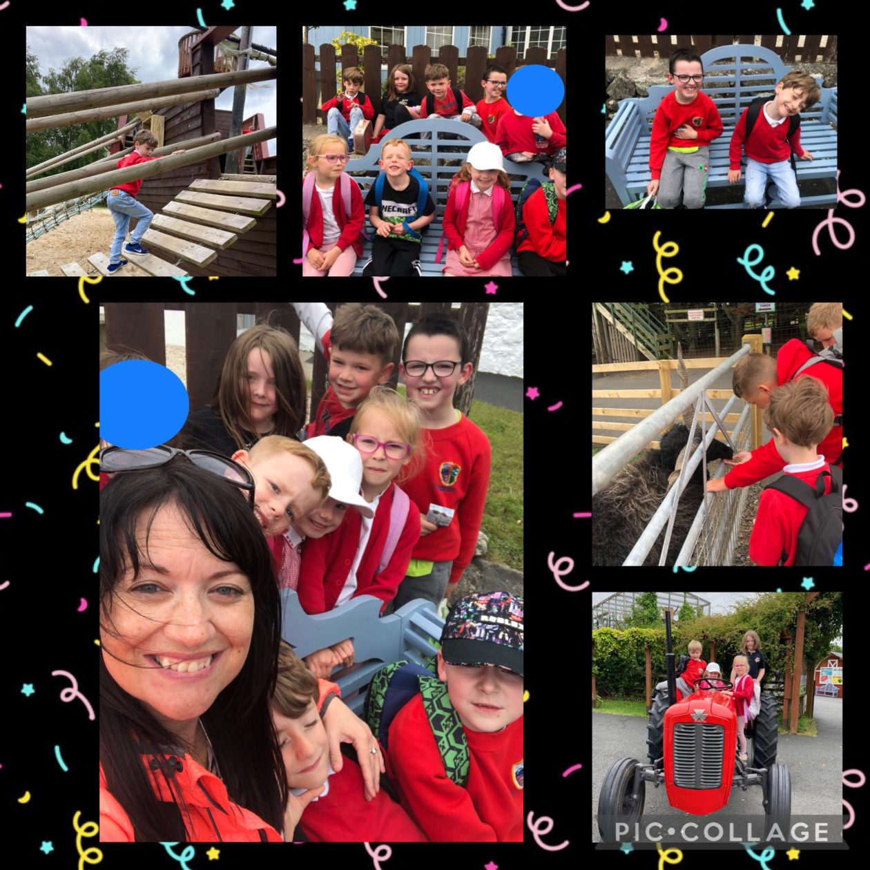 School Trip to Heads of Ayr Farm Park | Barrhill Primary and Early ...