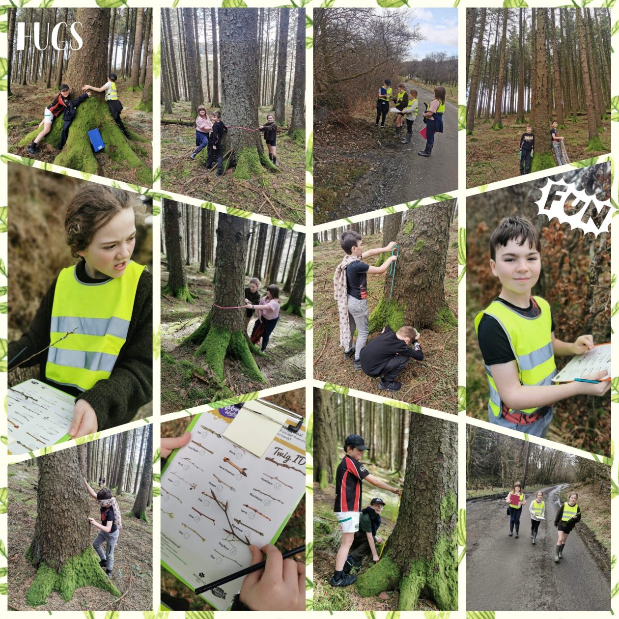 Outdoor Science Explorers Project Day 2 | Barr Primary and Early Years ...