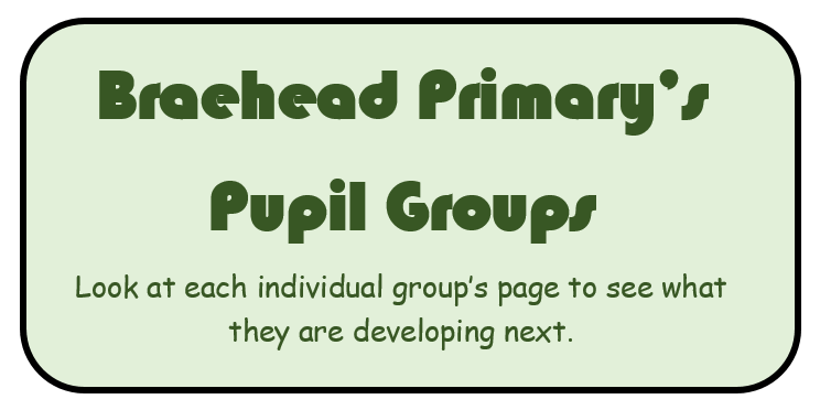 Pupil Groups