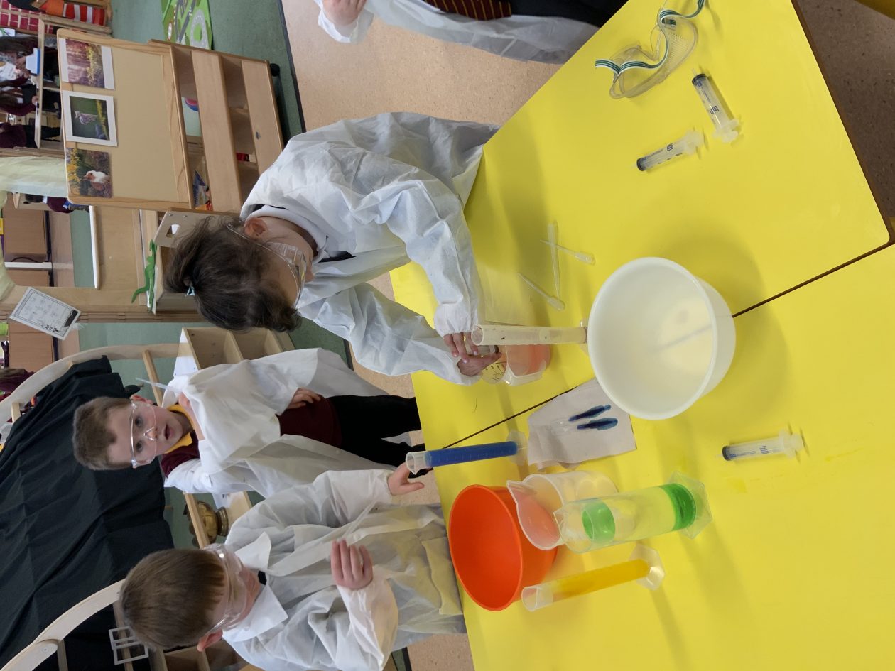 STEM week – PBL experiments | Gardenrose Primary School & EYC
