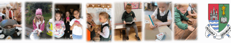 HMIE Inspection Report | Holmston Primary School