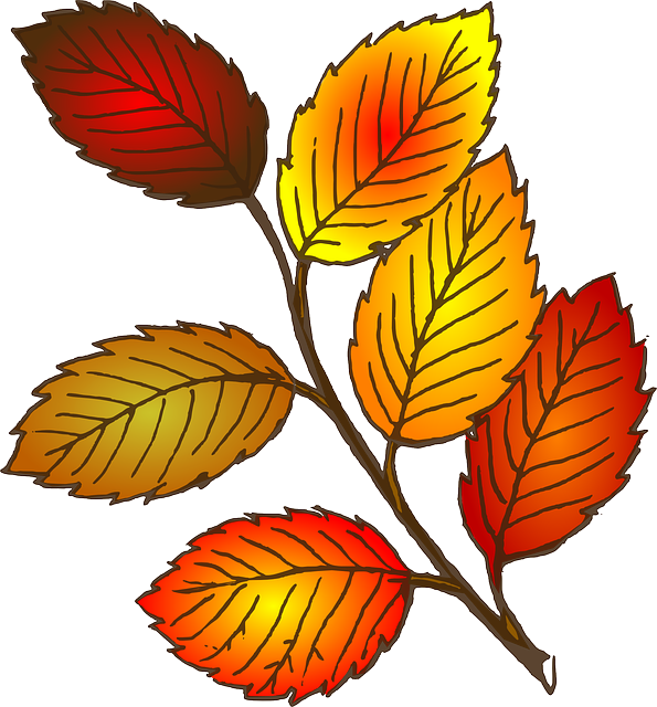 Newsletters | Symington Primary School and EYC