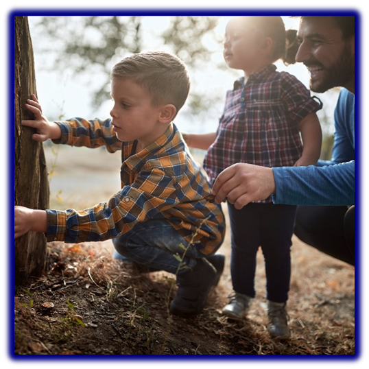 Formative Assessment – Early Level Portal