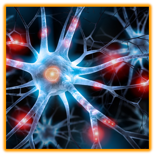 Supporting, Deepening and Extending Learning – Early Level Portal