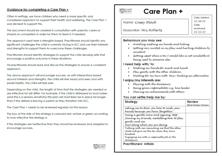 Care Plans – Early Level Portal