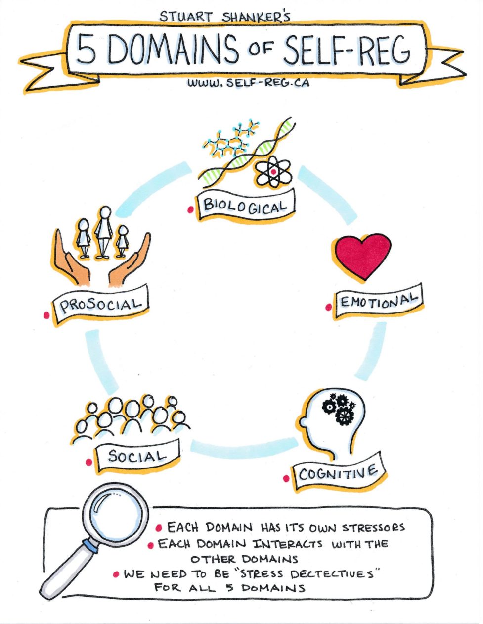Self-Regulation – Early Level Portal