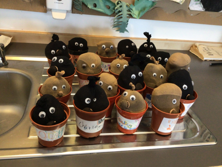Crazy Cress Heads | Kingsland Primary P6 21/22