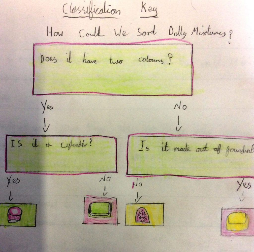 Learning about Classification Keys…with sweets! | Kingsland Primary P7 ...