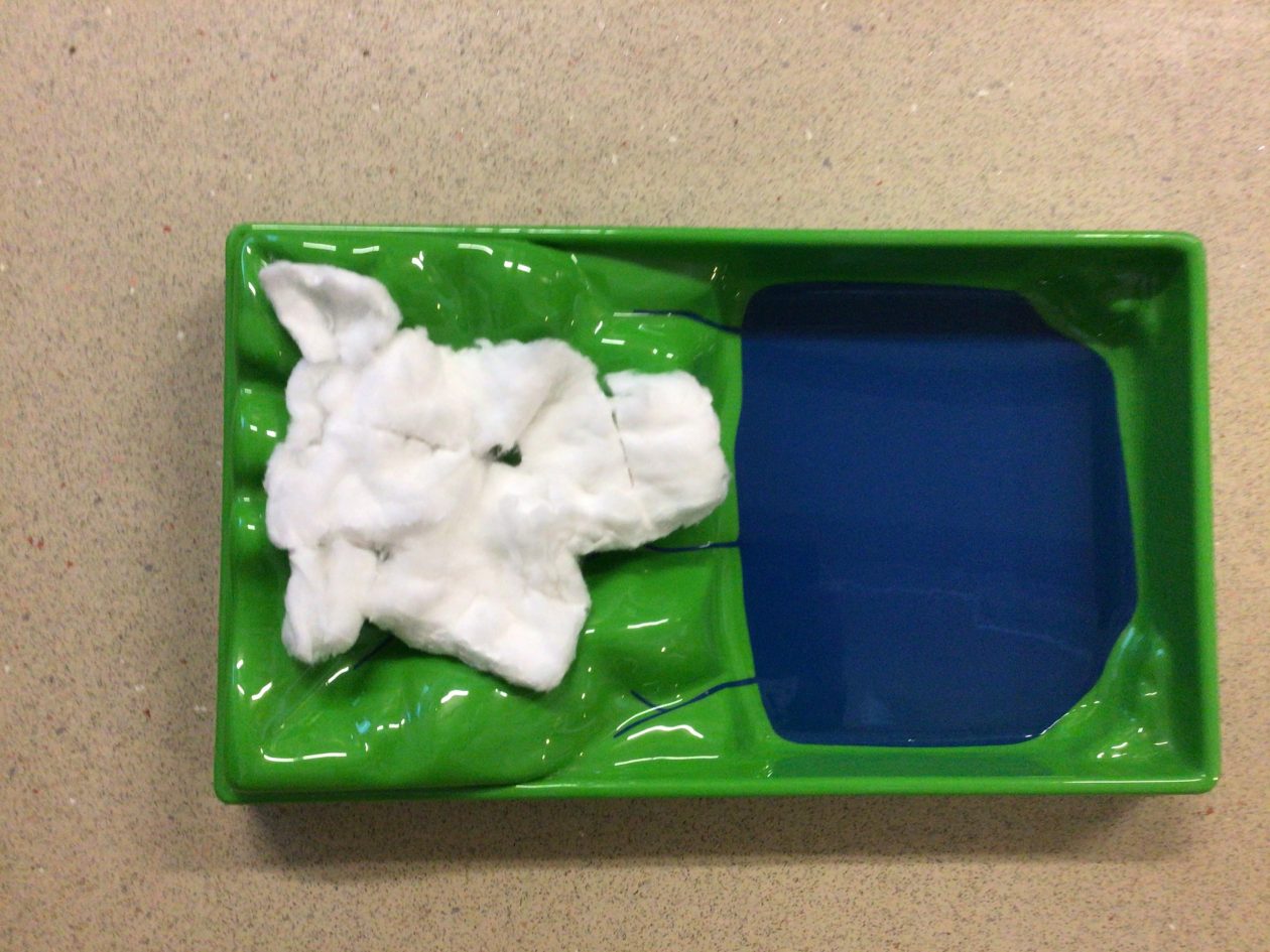 Mini water cycle | Kingsland Primary P4 21/22