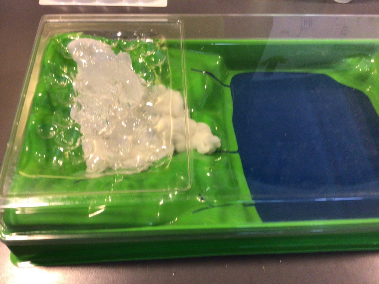 Mini water cycle | Kingsland Primary P4 21/22