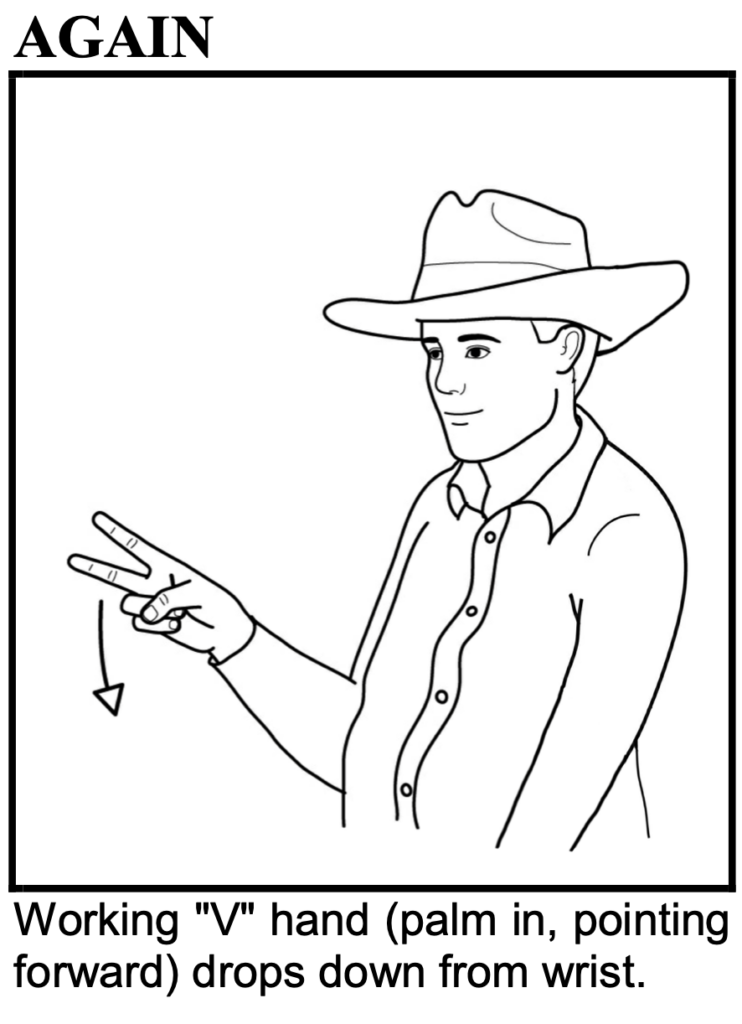Story, Song and Sign of the Week