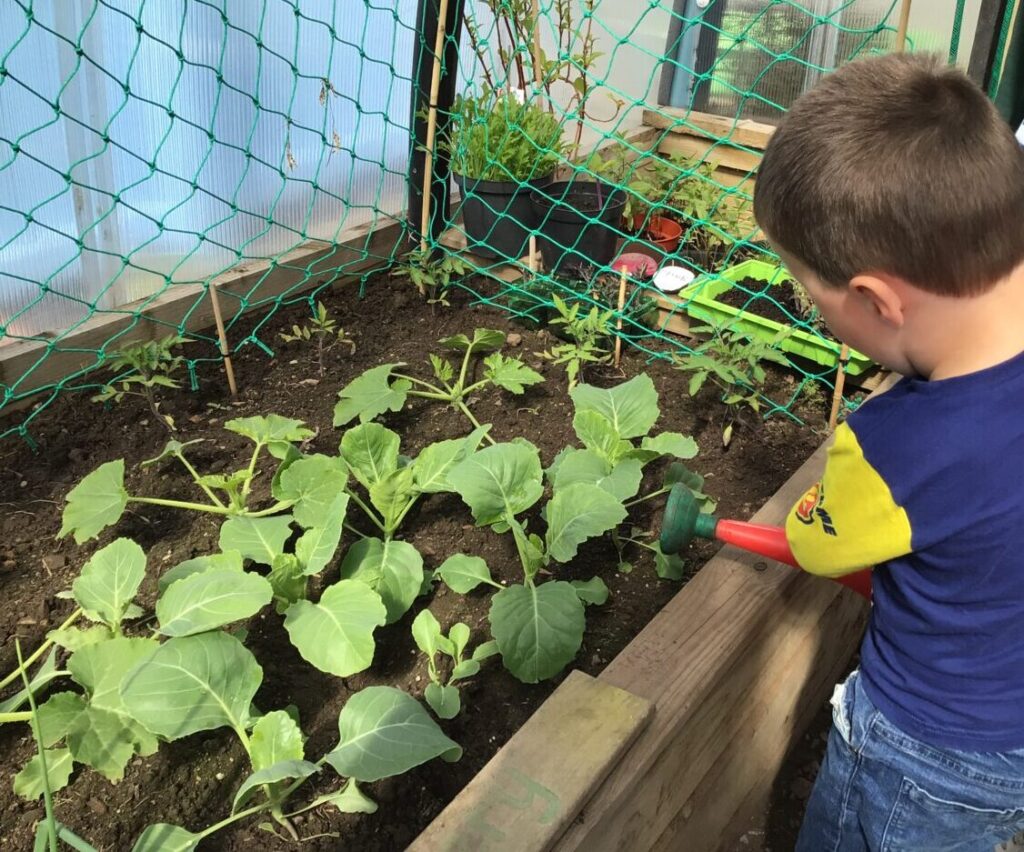 Gardening Club at the polytunnel