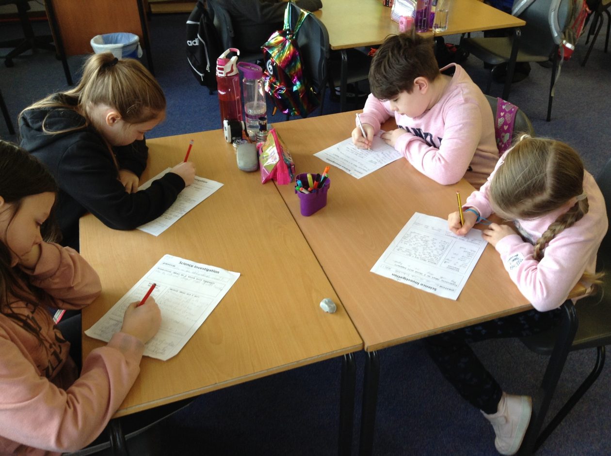 Primary 5 science experiment | Bell's Brae Primary School