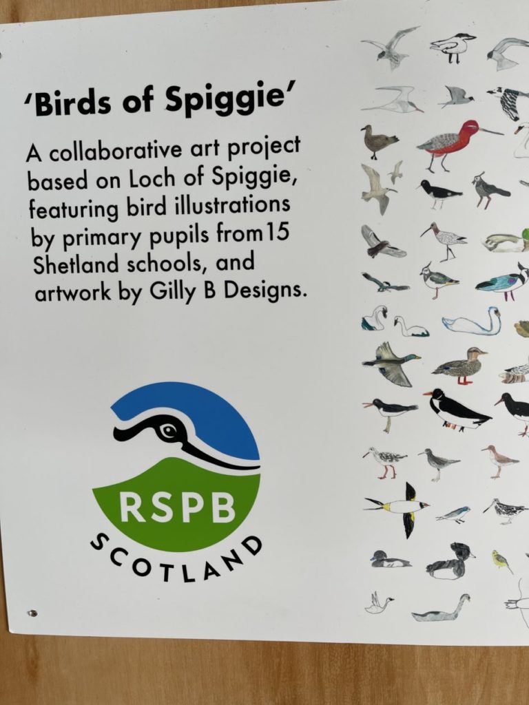 Spiggie Bird Hide Art Project – Primary 6/7 – 2022/23 – Cunningsburgh ...