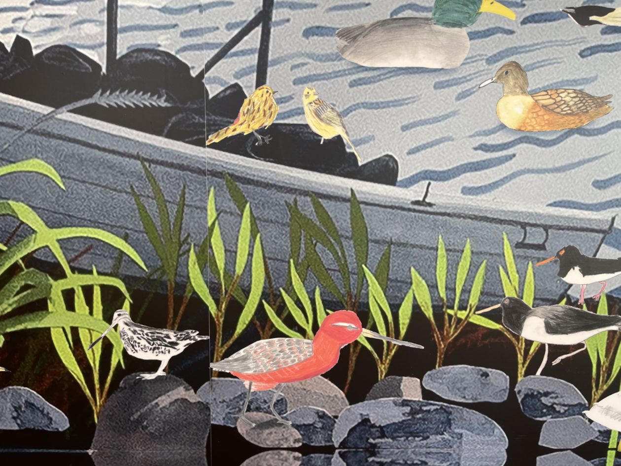P5-7 in RSPB Mural at Spiggie Birdhide | DPS Art
