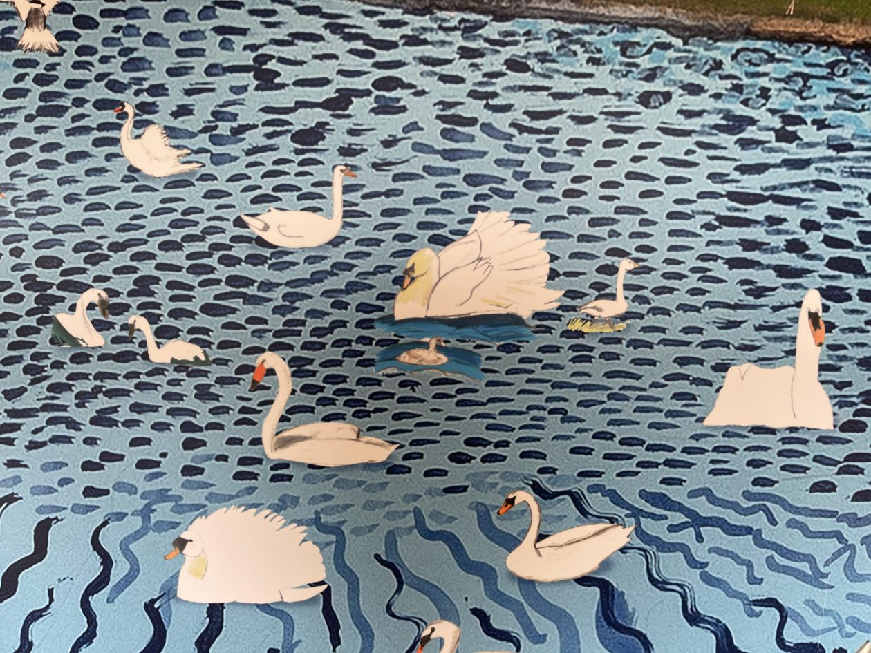 P5-7 in RSPB Mural at Spiggie Birdhide | DPS Art