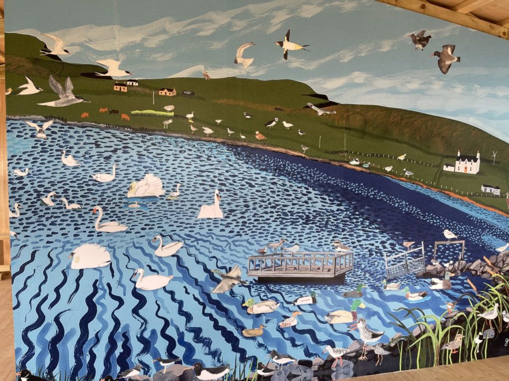 P5-7 in RSPB Mural at Spiggie Birdhide | DPS Art
