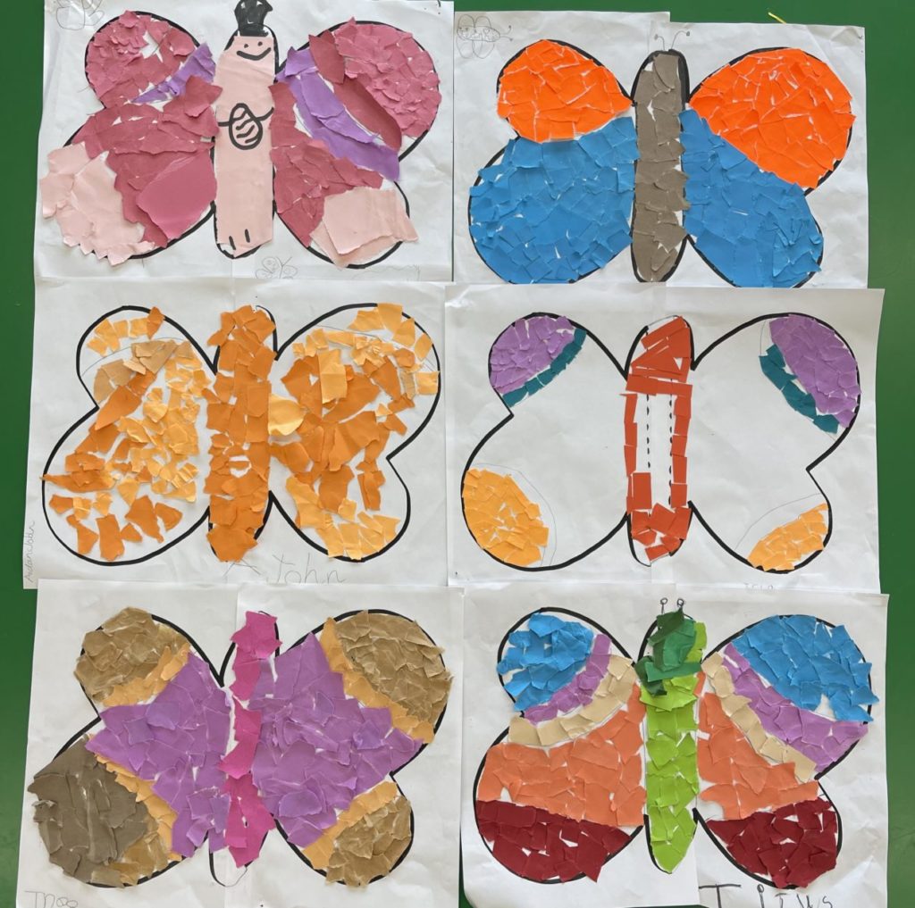 P1/2 Butterfly Collages | DPS Art