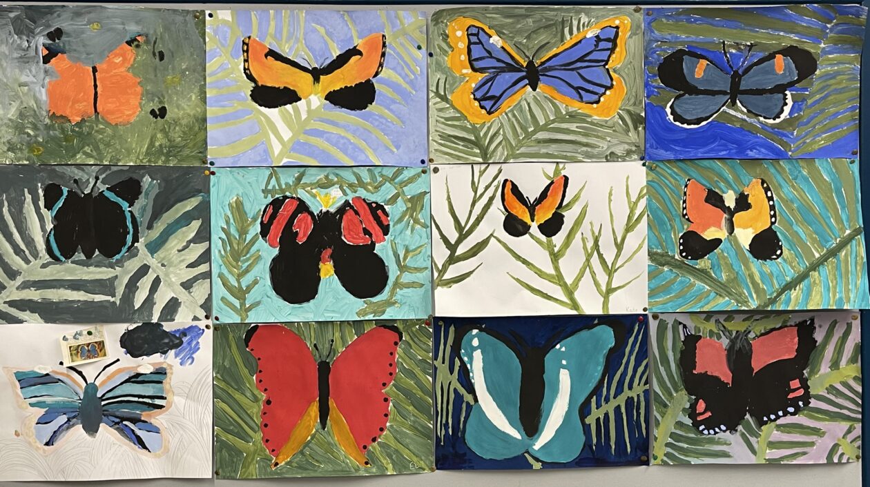 P6/7 Have been choosing a butterfly from the tropical Rainforest to ...