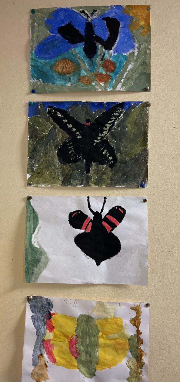 P4/5 Have been looking at tropical butterflies from rainforests around ...