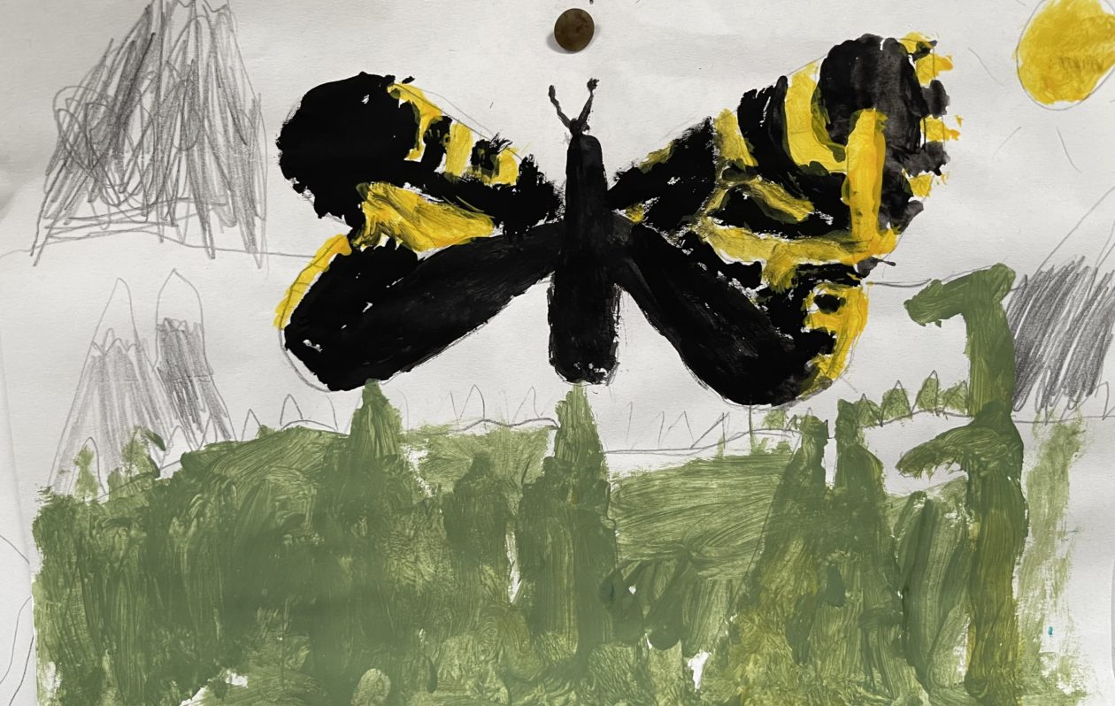 P4/5 Have been looking at tropical butterflies from rainforests around ...