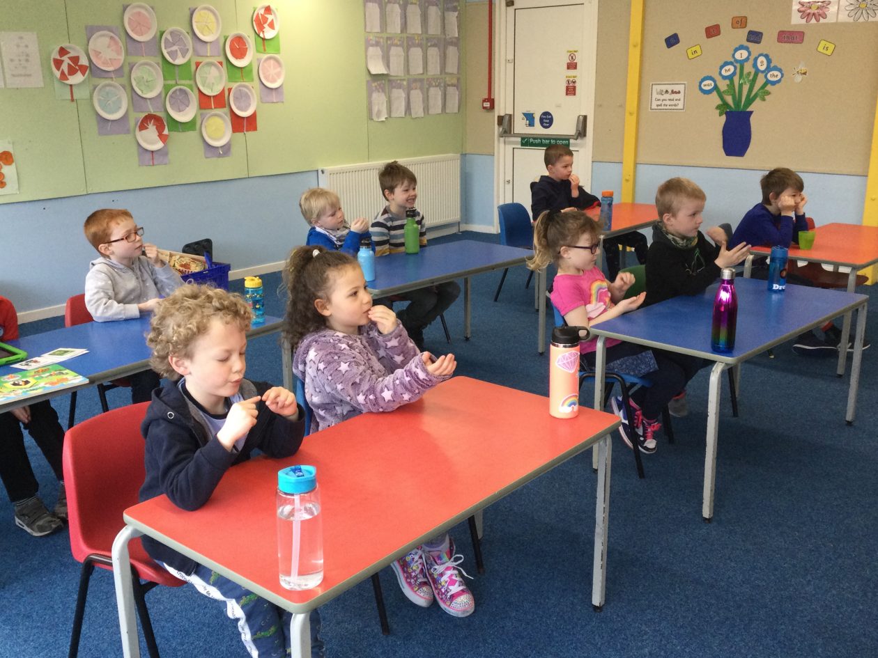 We are learning sign language | Primary 1