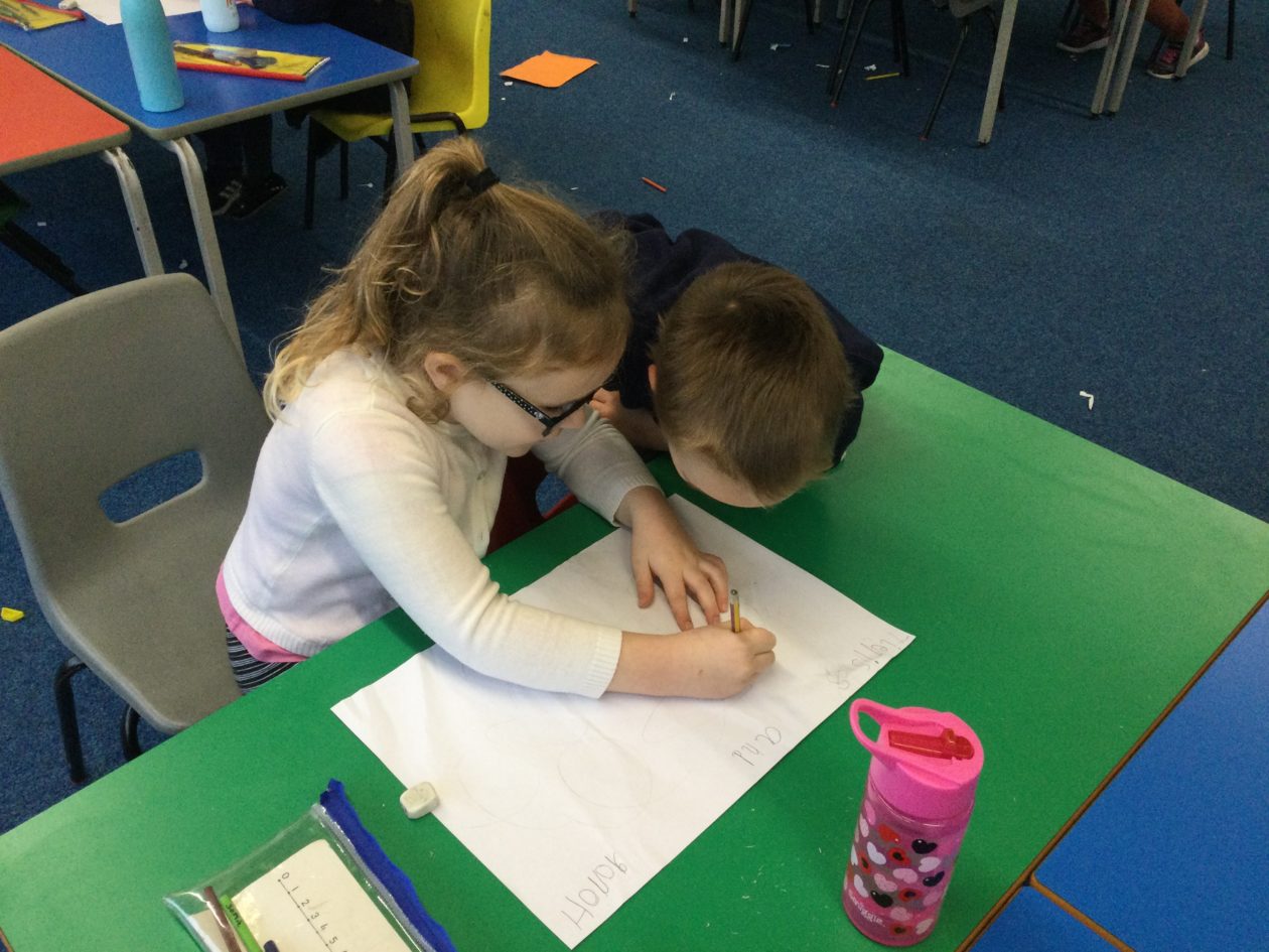 Working together | Primary 1