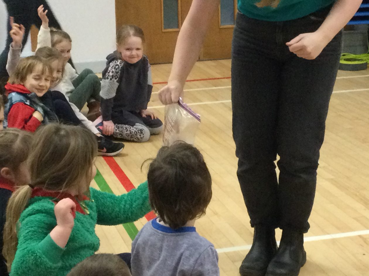 Glasgow Science Centre visit | Primary 1