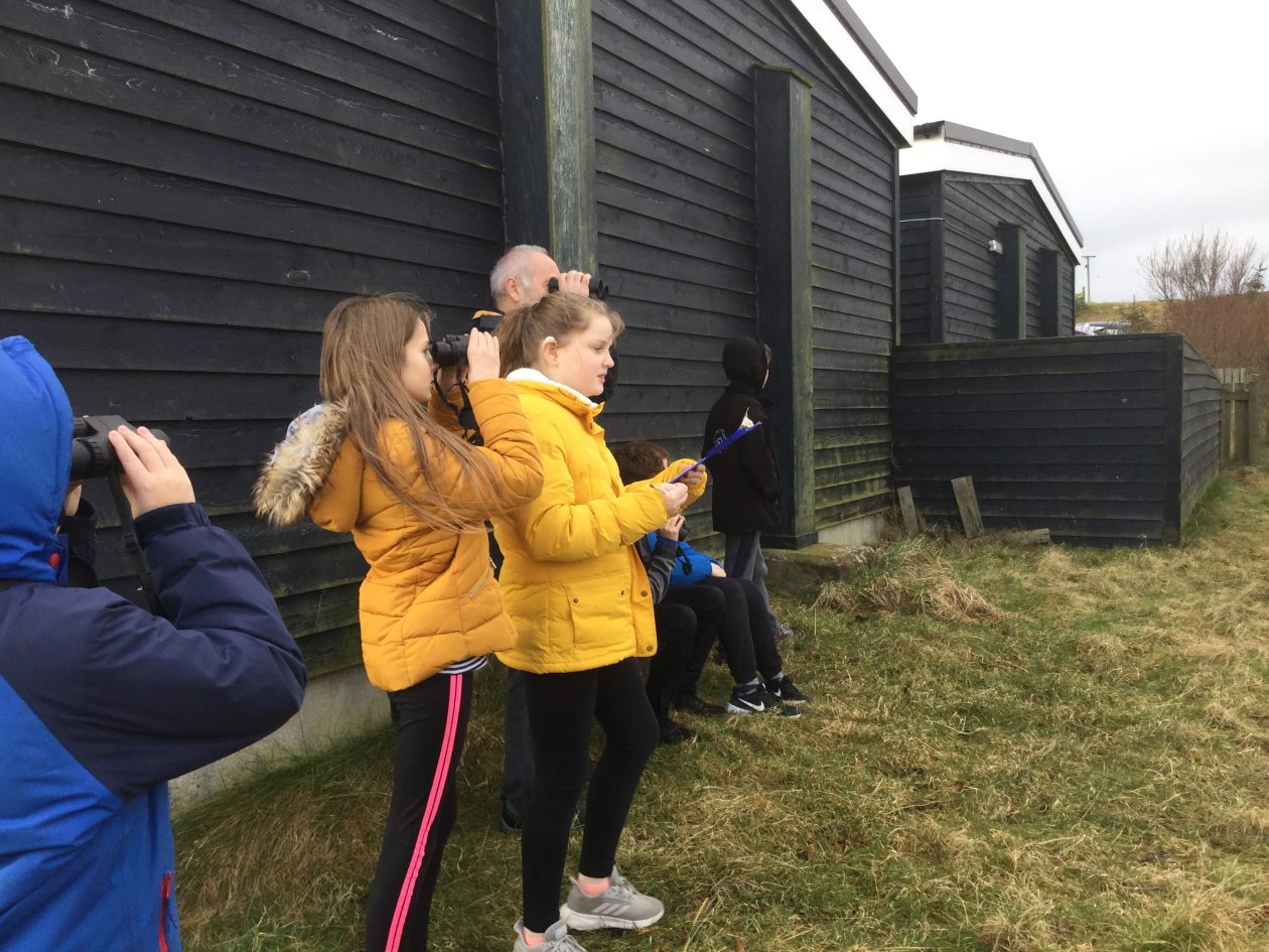 RSPB Schools Birdwatch | P6/7 2025-26