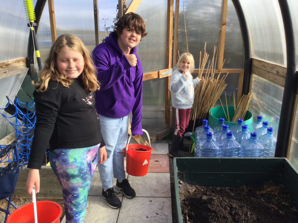 Planting in the polycrub | P6/7