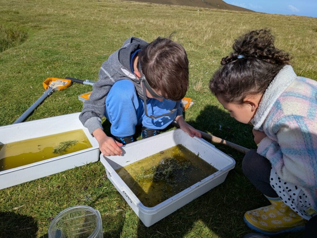 Bioblitz Expedition!