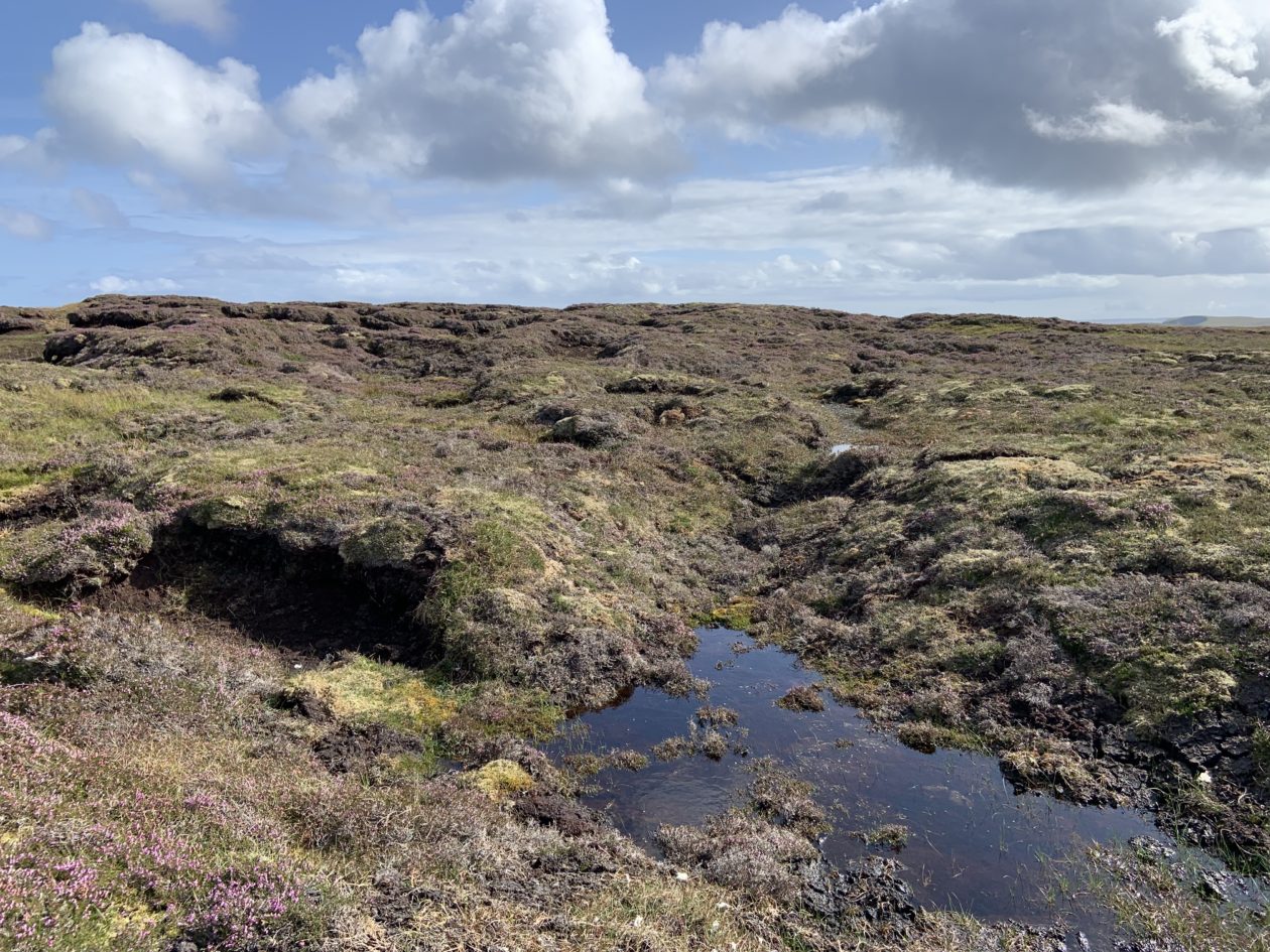Peat Restoration – Mid Yell Junior High School