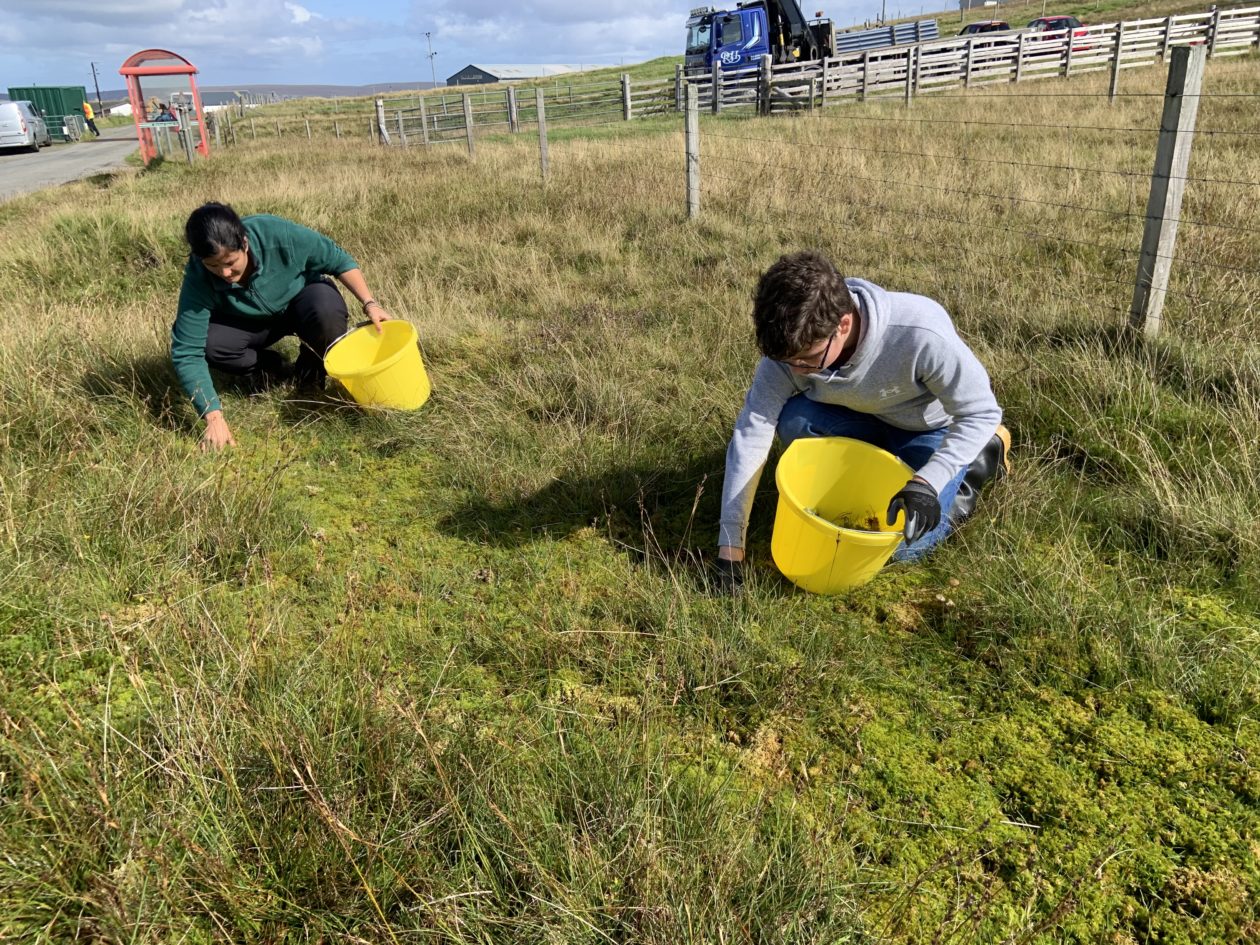 Peat Restoration – Mid Yell Junior High School