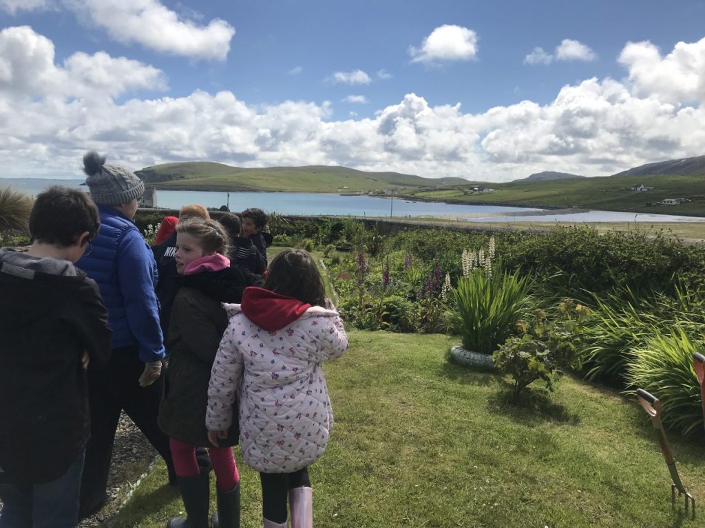 North Roe Community Garden