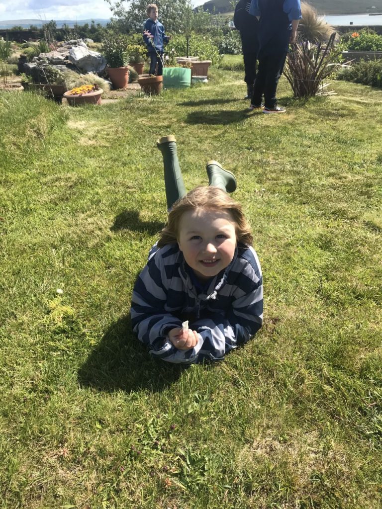 North Roe Community Garden