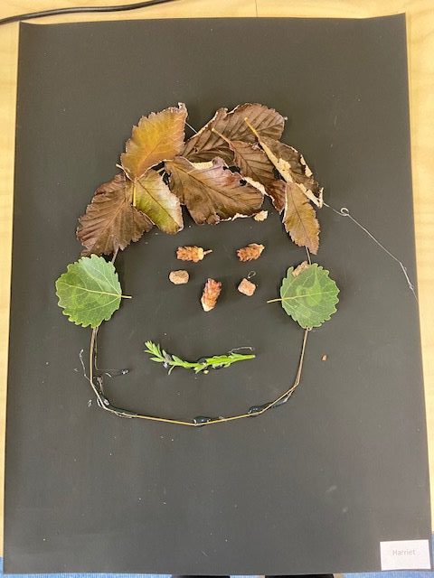 Nature Self Portraits