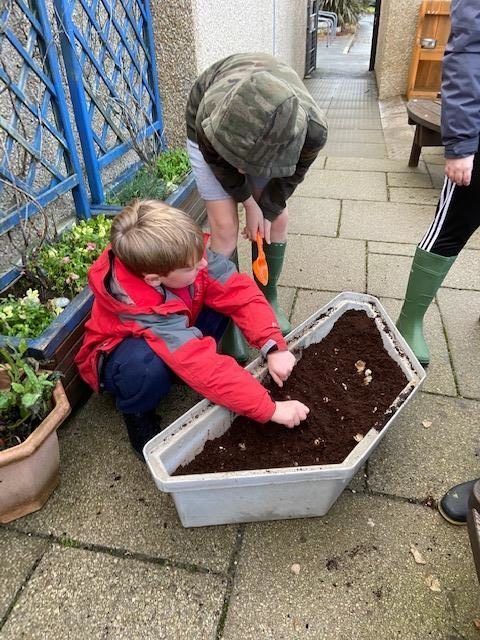 Planting Bulbs