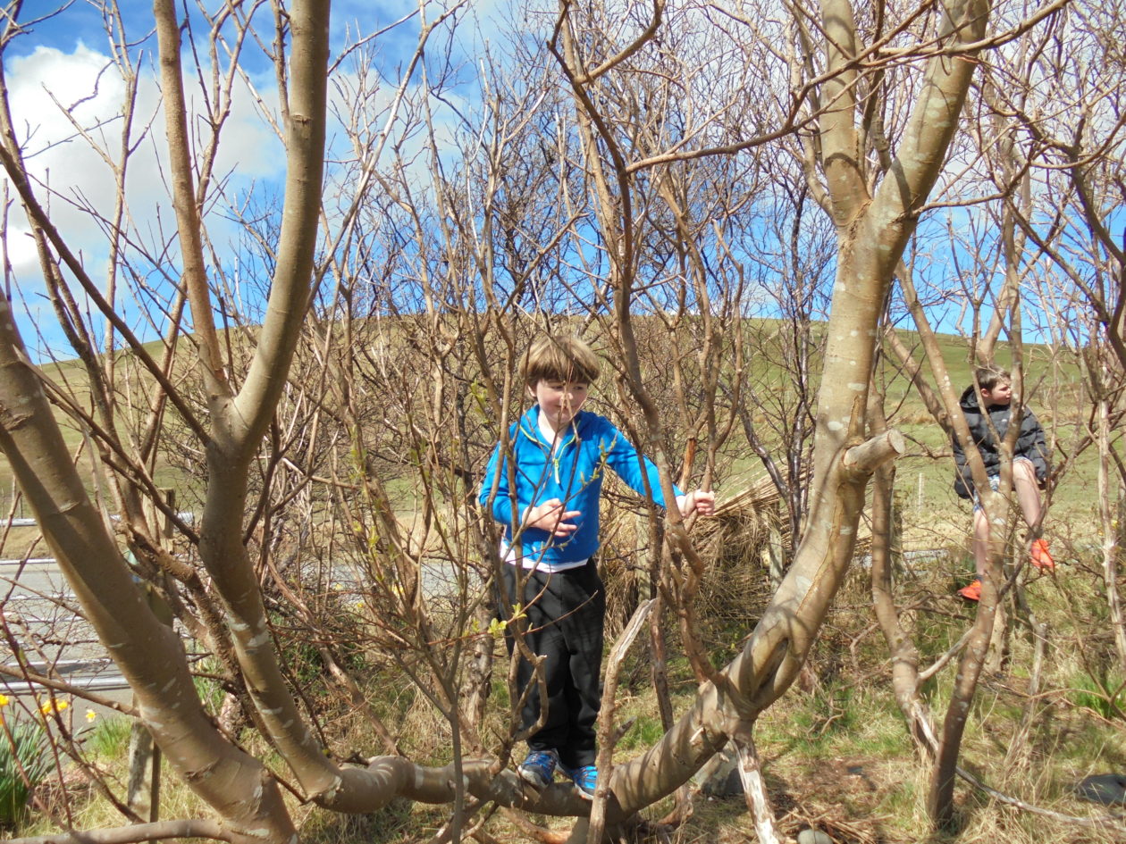 Adventure Playground