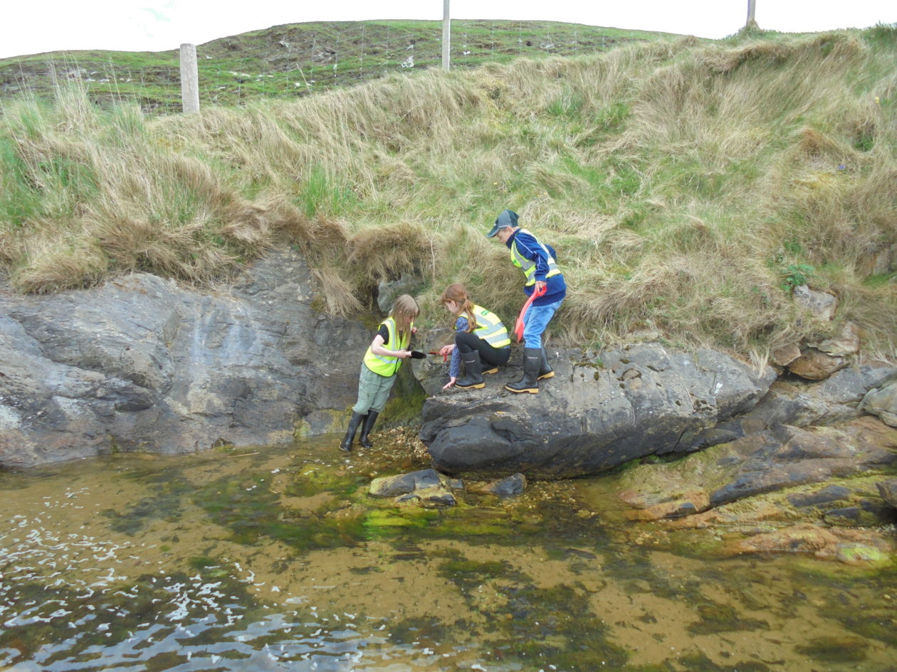 Ollaberry Primary School – Just another blogs.glowscotland.org.uk ...