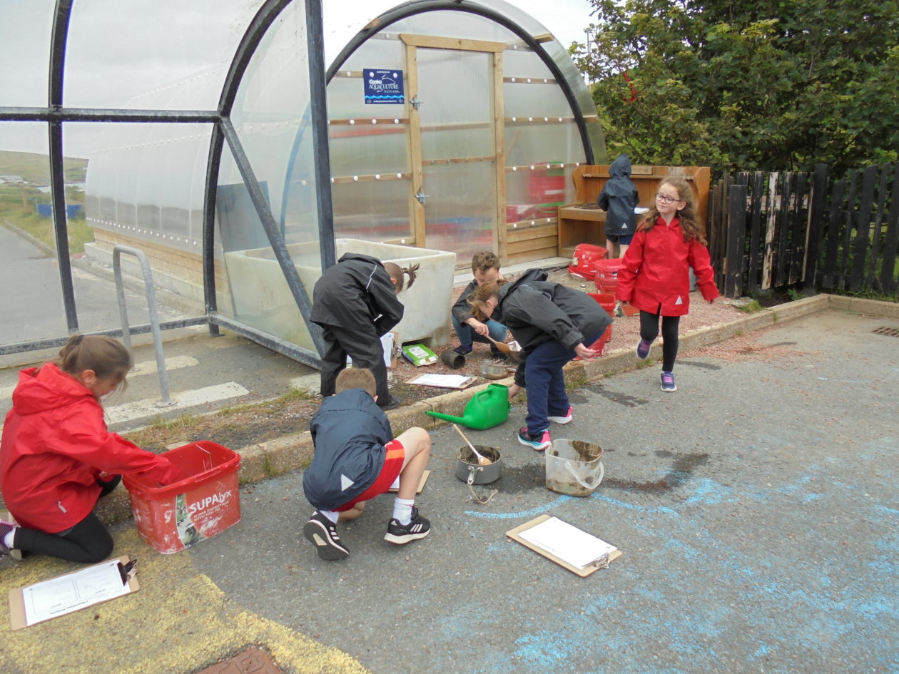 Marvellous Mud Kitchen Medicine!