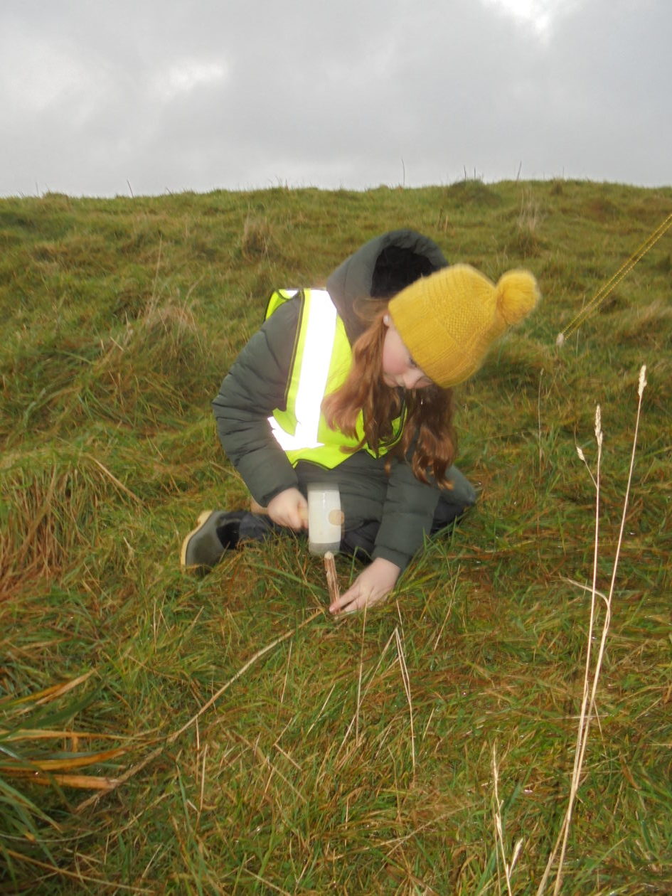 Ollaberry Primary School – Just another blogs.glowscotland.org.uk ...