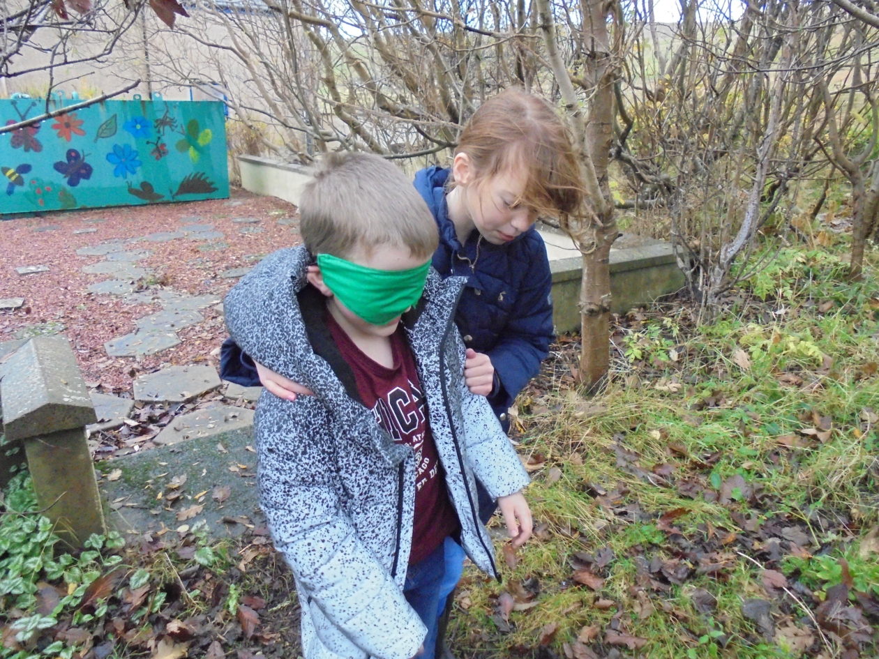 Outdoor Education Morning